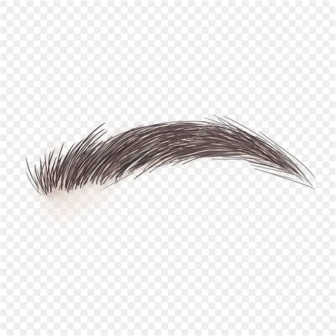 Eyebrow Texture Png