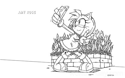 Desenhos De Amy Rose Para Colorir WONDER DAY Desenhos Para Colorir