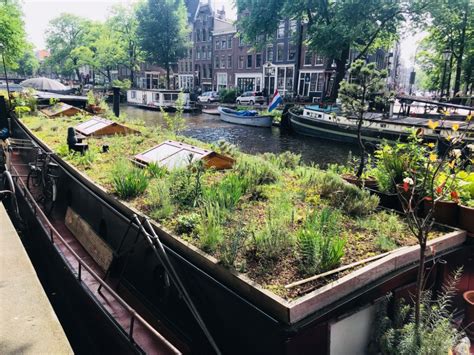 Boat Garden City Garden Home And Garden Amsterdam House Boat Bergen