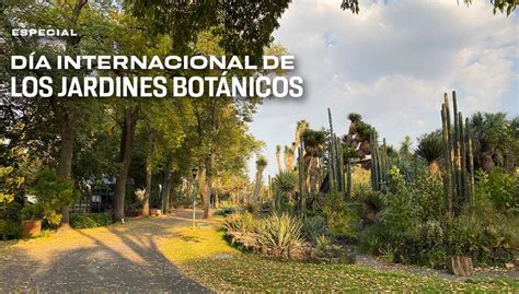 Especial Día Mundial de los Jardines Botánicos UNAM Global