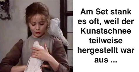 Spannende Fakten Zu Drei Haseln Sse F R Aschenbr Del Einfach Sch N