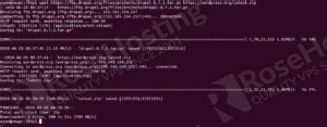 How To Install And Use Wget On Linux Rosehosting