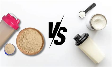 Meal Replacement Vs Whey Protein Key Differences