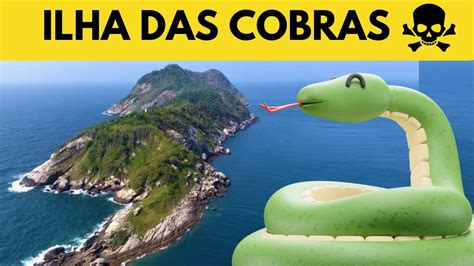 ILHA DAS COBRAS QUEIMADA GRANDE ILHA SELVAGEM NATUREZA SELVAGEM