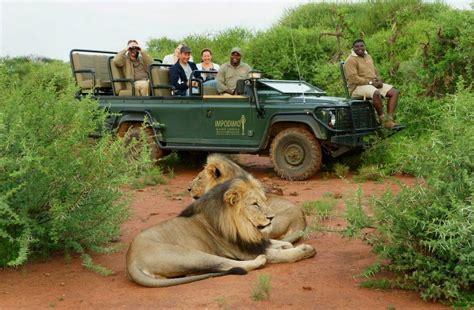 Go African Safari พฤษภาคม 2014