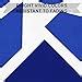Amazon Us Air Force Flag Wings Logo X Ft Usaf White On Blue