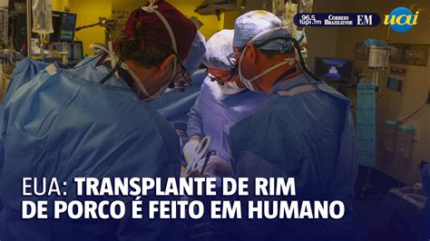 Médico brasileiro realiza primeiro transplante de rim de porco em