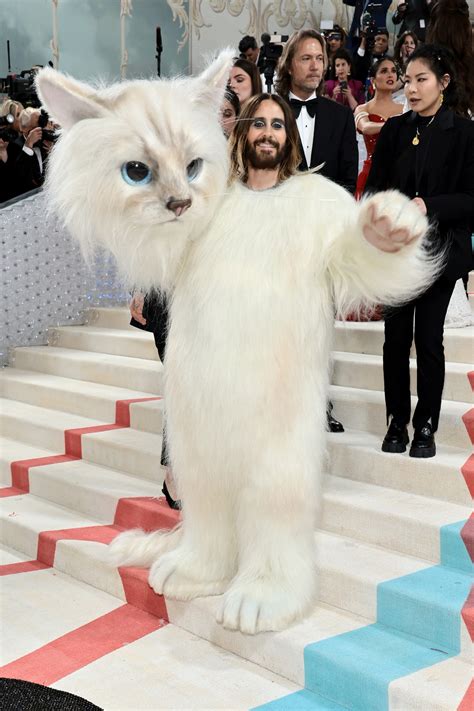 Met Gala 2023 cuáles han sido los mejores looks y momentos Softonic