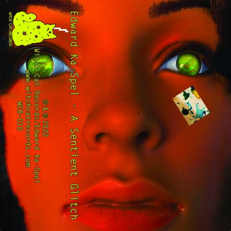The Blender From A Sentient Glitch Edward Ka Spel Witch Cat Records