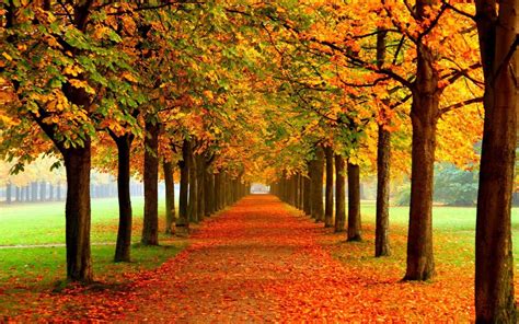Ultra HD Autumn Wallpapers Top Free Ultra HD Autumn Backgrounds