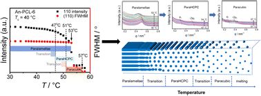 Effects Of End Groups And Entanglements On Crystallization And Melting