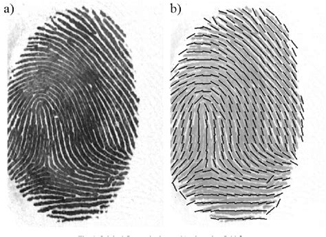 figure 4 from a review on fingerprint orientation estimation methods semantic scholar