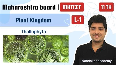 Class Chapter Kingdom Plantae Division Thallophyta Maharashtra