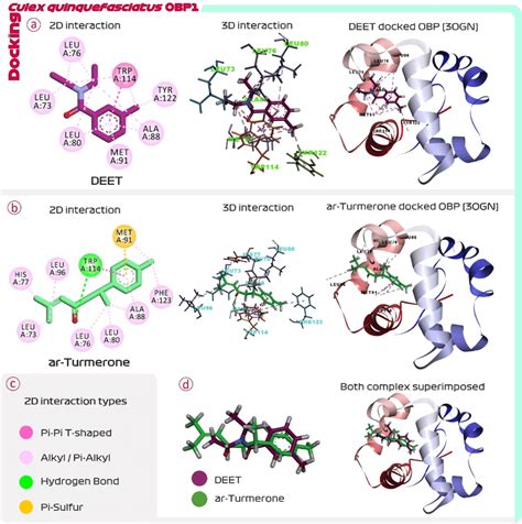 Molecular Docking Of A DEET And B Ar Turmerone With OBP1 3OGN Of
