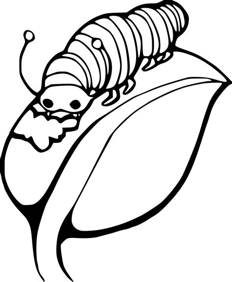Coloriage chenille mange une feuille à imprimer