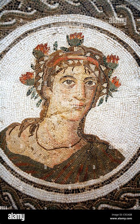 Roman Mosaic Rd Century Archaeological Museum El Jem Tunisia