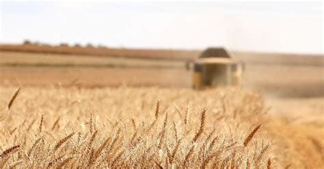 Agricultura Anticipa 661 6 Millones De La PAC A Los Agricultores Y