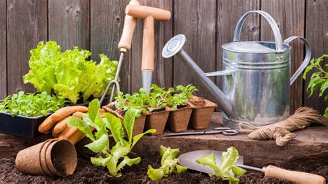 The Health Benefits Of Gardening Guideposts