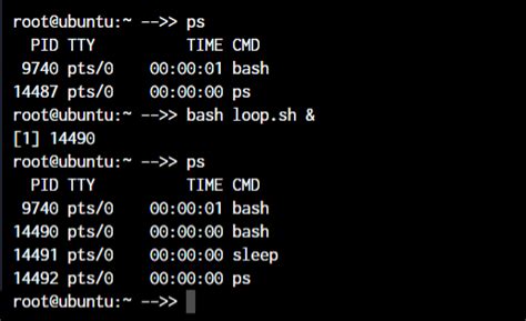 50 Linux Commands You Must Know