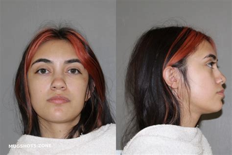 WILLIAMS ALIZE DARLEEN 02 02 2024 Denton County Mugshots Zone