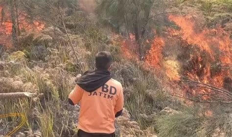 Tornado Api Muncul Di Gunung Bromo Kebakaran Akibat Flare Prewedding