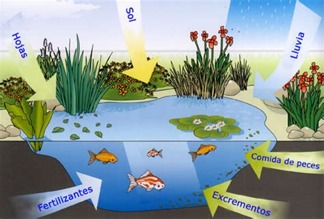 La Contaminacion Hidrica Contaminantes Naturales