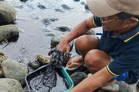 Calapan City Is Preparing For The Possible Entry Of An Oil Spill