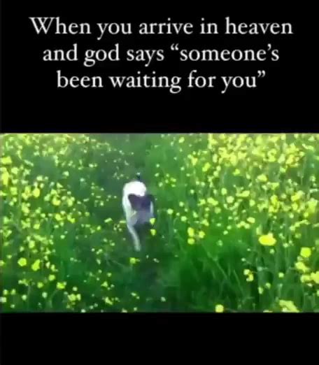 When You Arrive In Heaven And God Says Someone S Been Waiting For You