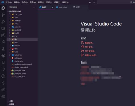 如何在vs code中使用flutter dk plus