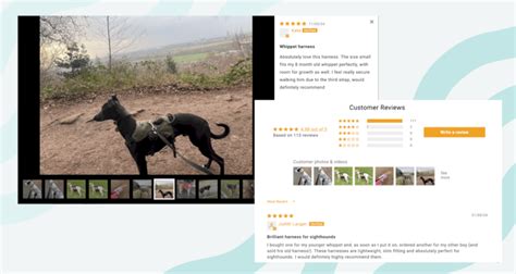 Snootiful Use UGC To Build Trust And Boost Sales In A Niche Market