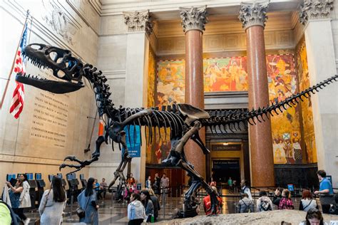 7 Museos Imprescindibles Que Visitar En Nueva York Travel Plannet