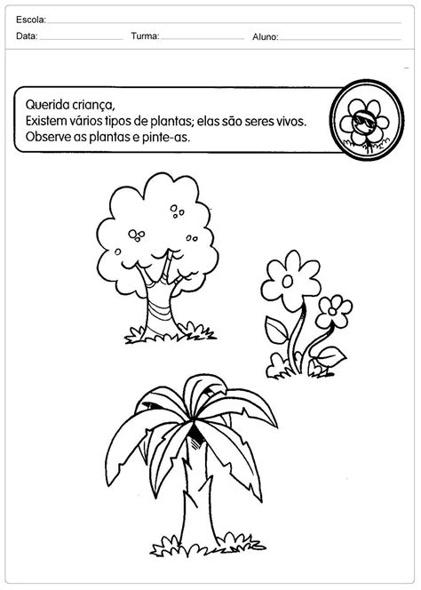 Atividades De Ci Ncias Ano Seres Vivos E Seres N O Vivos S Escola