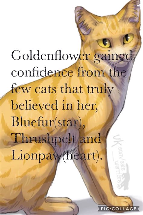 Warrior Cats Quotes Warrior Cat Names Warrior Cats Funny Warrior