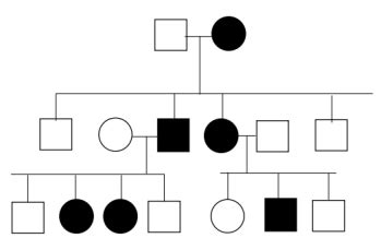 Pedigrees Video Tutorial Practice Pearson Channels