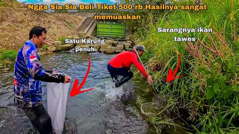 Seumur Umur Baru Kali Ini Saya Nyeser Dapat Ikan Tawes Babon Ngga Sia