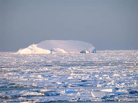 Frozen La Scienziata Italiana Che Studia I Ghiacci Antartici Per