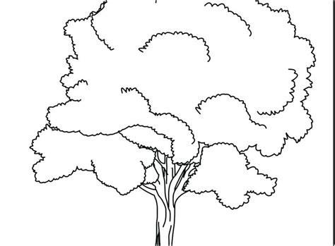 Simple Tree Roots Coloring Coloring Pages