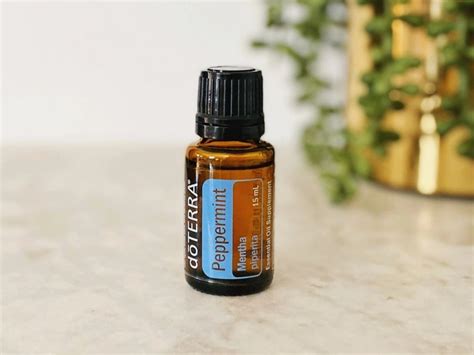 15 Principais Benefícios do Óleo essencial Peppermint Gotas daTerra