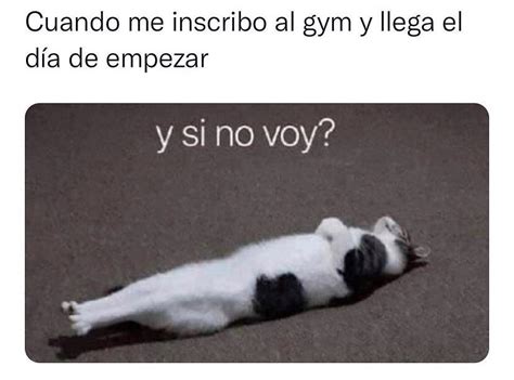 Calamares regresando a casa después de jugar el juego No sé nunca he