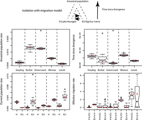 parametric bootstrap replicates for parameters estimated under an download scientific diagram