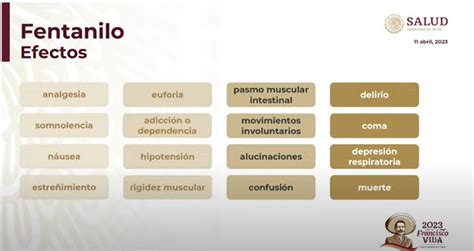 Fentanilo Sustancia Con Alto Potencial Adictivo En Baja Cantidad