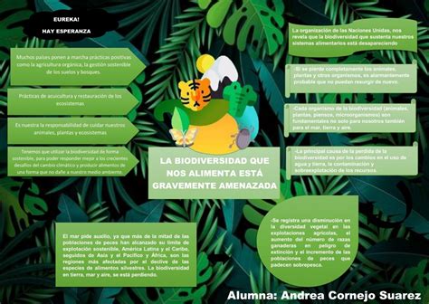 Top Imagen Biodiversidad Mapa Mental Viaterra Mx