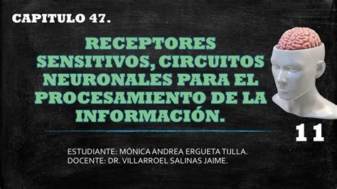 Capítulo 43 Receptores Sensitivos Andrea Ergueta uDocz