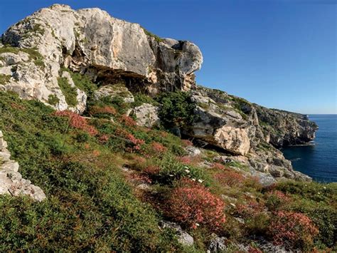 Parco Naturale Regionale Costa Otranto S Maria Leuca Bosco Tricase