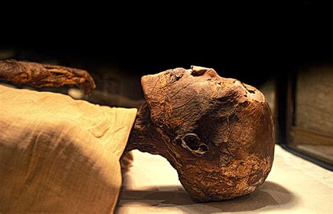 Mummy Of Ramesses II Egypt Museum 56 OFF Rbk Bm