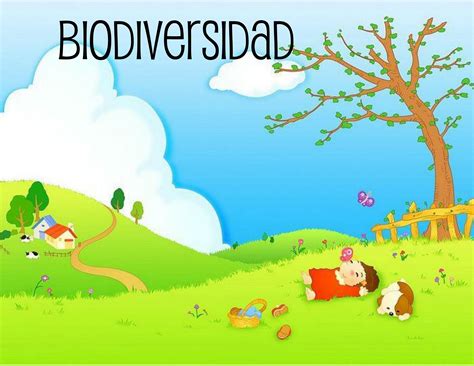 El Valor De La Biodiversidad Comparacin De Las