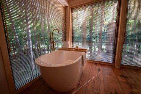 Tree Houses Olszanka Domki na drzewach w sercu lasu tylko dla dorosłych
