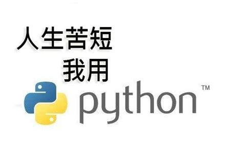 千行代码入门python 知乎