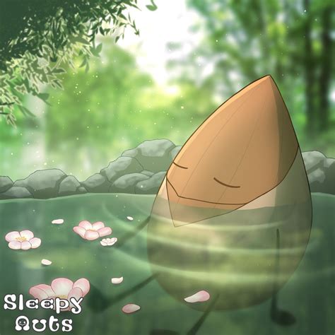 Sleep Inducing And Autonomic Nervous System Balancing Bgm With