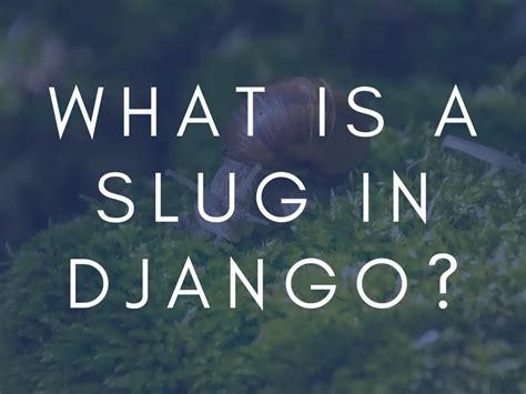 What Is A Slug In Django And How To Use It Python In 1 Minute